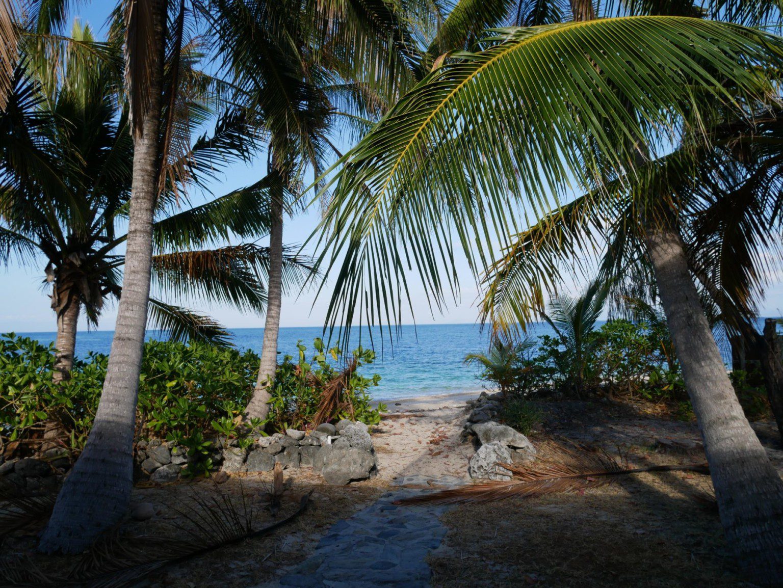 Biking and Walking around Mission Beach | Eco Village Mission Beach